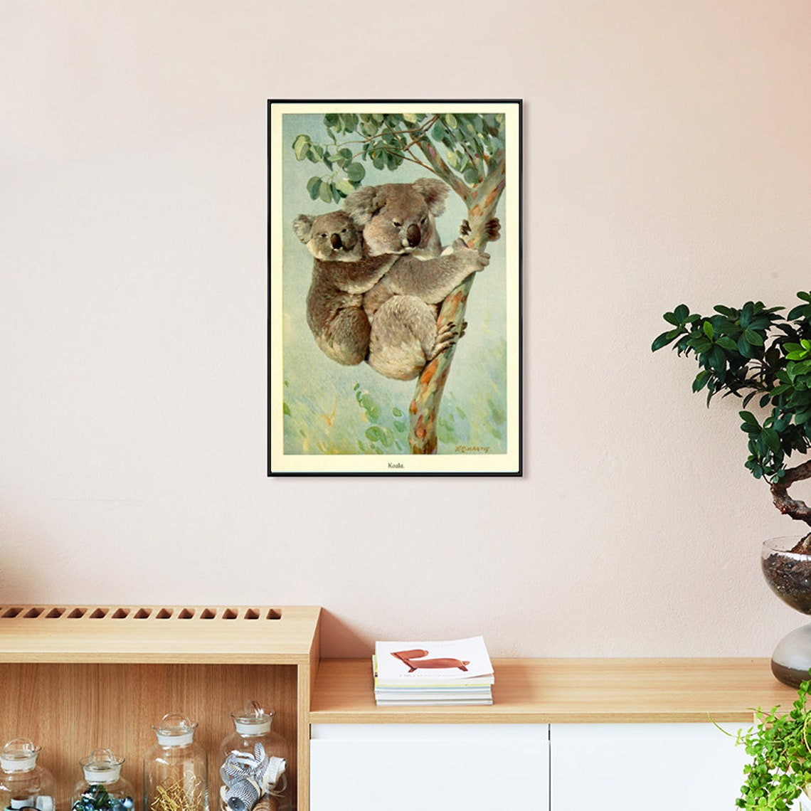 Koala Bear Print Australian Animal Picture Animals Wall Art - Etsy