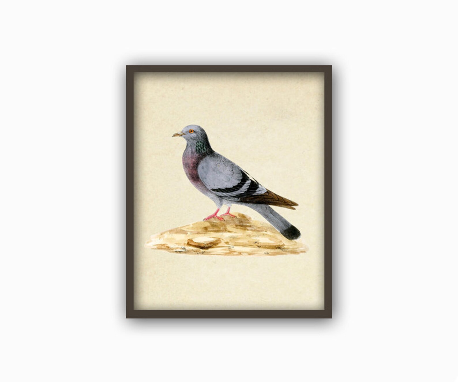 Dove Art Print Dove Drawing Print Dove Decor Dove Bird | Etsy