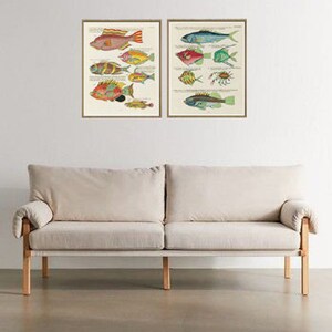 Fish Print Fish Poster Sea Marine Wall Decor Print Cute Fishes Painting ...