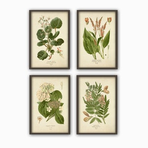 Set of 4 Plant Decoration Posters and Prints Wall Art Painting Wall ...
