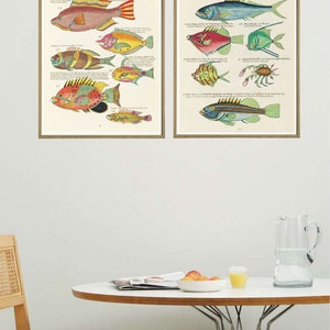Fish Print Fish Poster Sea Marine Wall Decor Print Cute Fishes Painting ...
