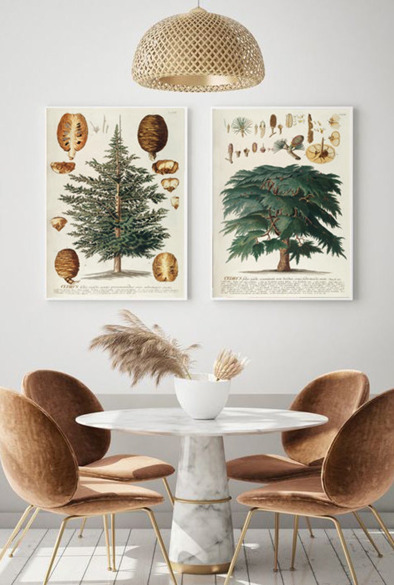 Trees Print Set of 2, Antique Botanical Illustration Wall Decor, Cedar ...