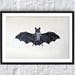 Bat Print Bat Wall Art Bat Poster Animals Print - Etsy