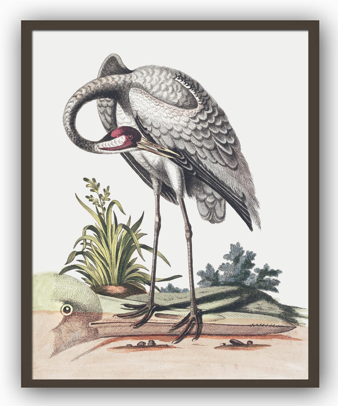 Crane Bird Print Large Wall Decor Living Room Art | Etsy