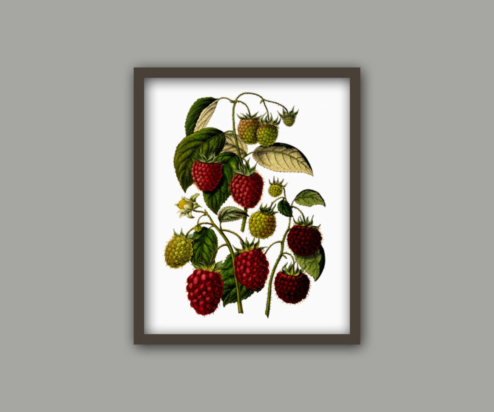 Raspberry Print Kitchen Wall Art Decor Botanical | Etsy