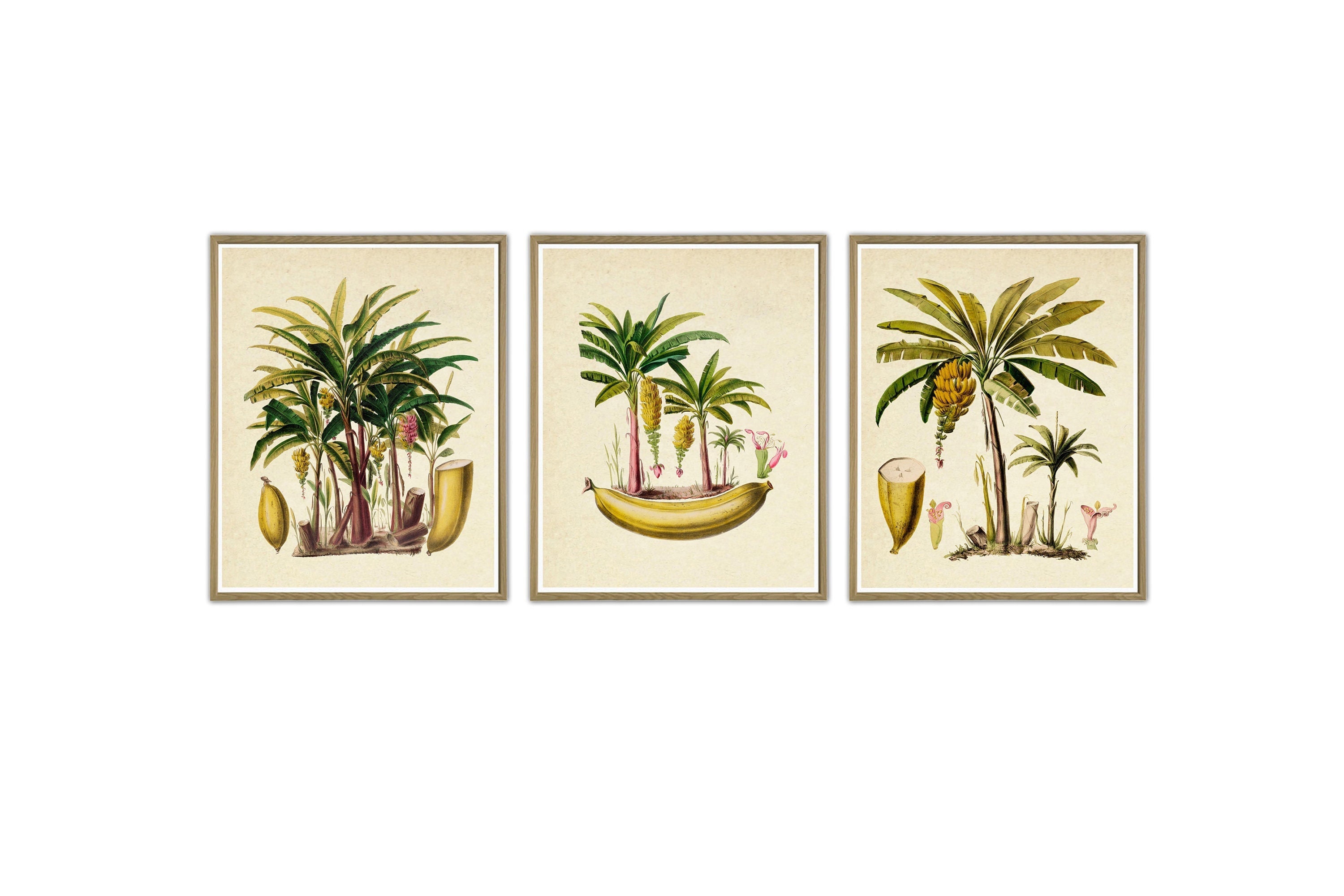 Vintage Palm Leaf Print