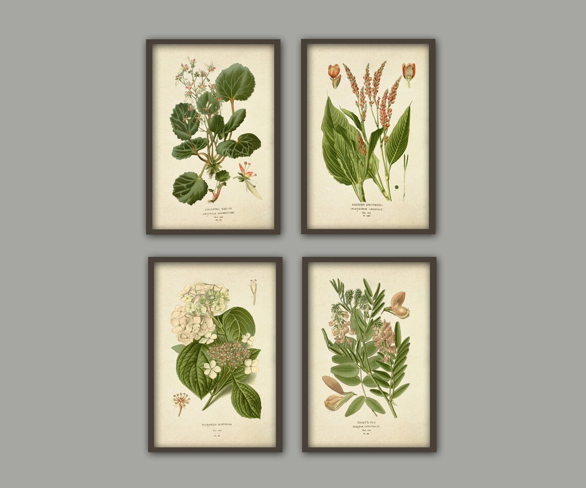 Set of 4 Plant Decoration Posters and Prints Wall Art Painting | Etsy