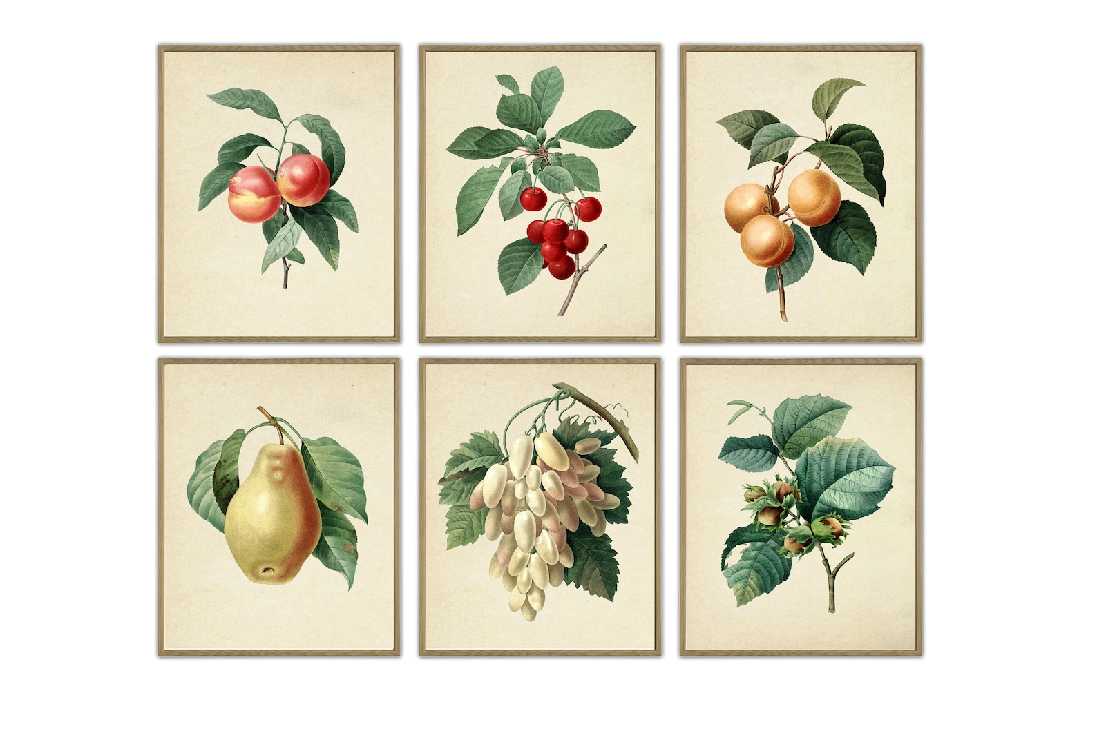 Fruit Print Set Botanical Fruit Print Gallery Wall Art - Etsy