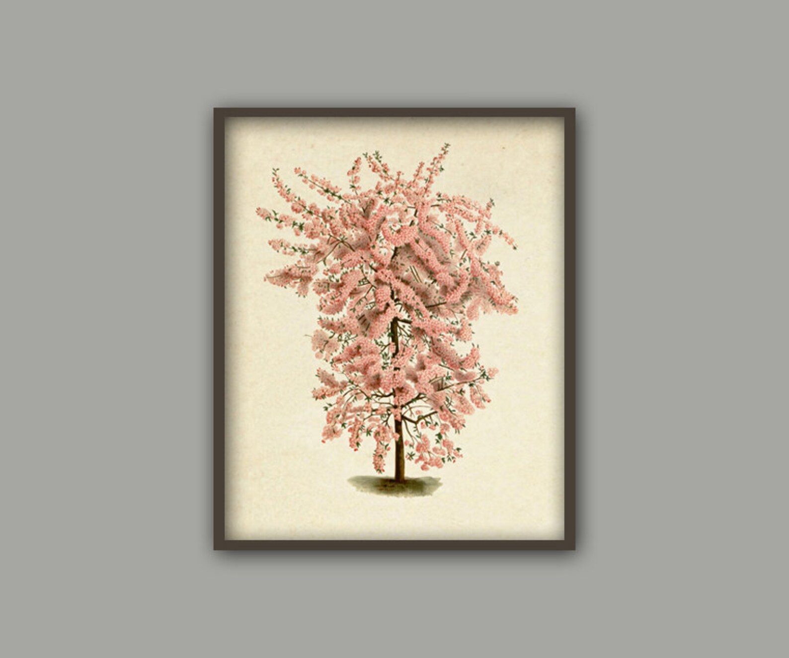 Apple Tree Print Botanical Wall Art Decor Vintage - Etsy