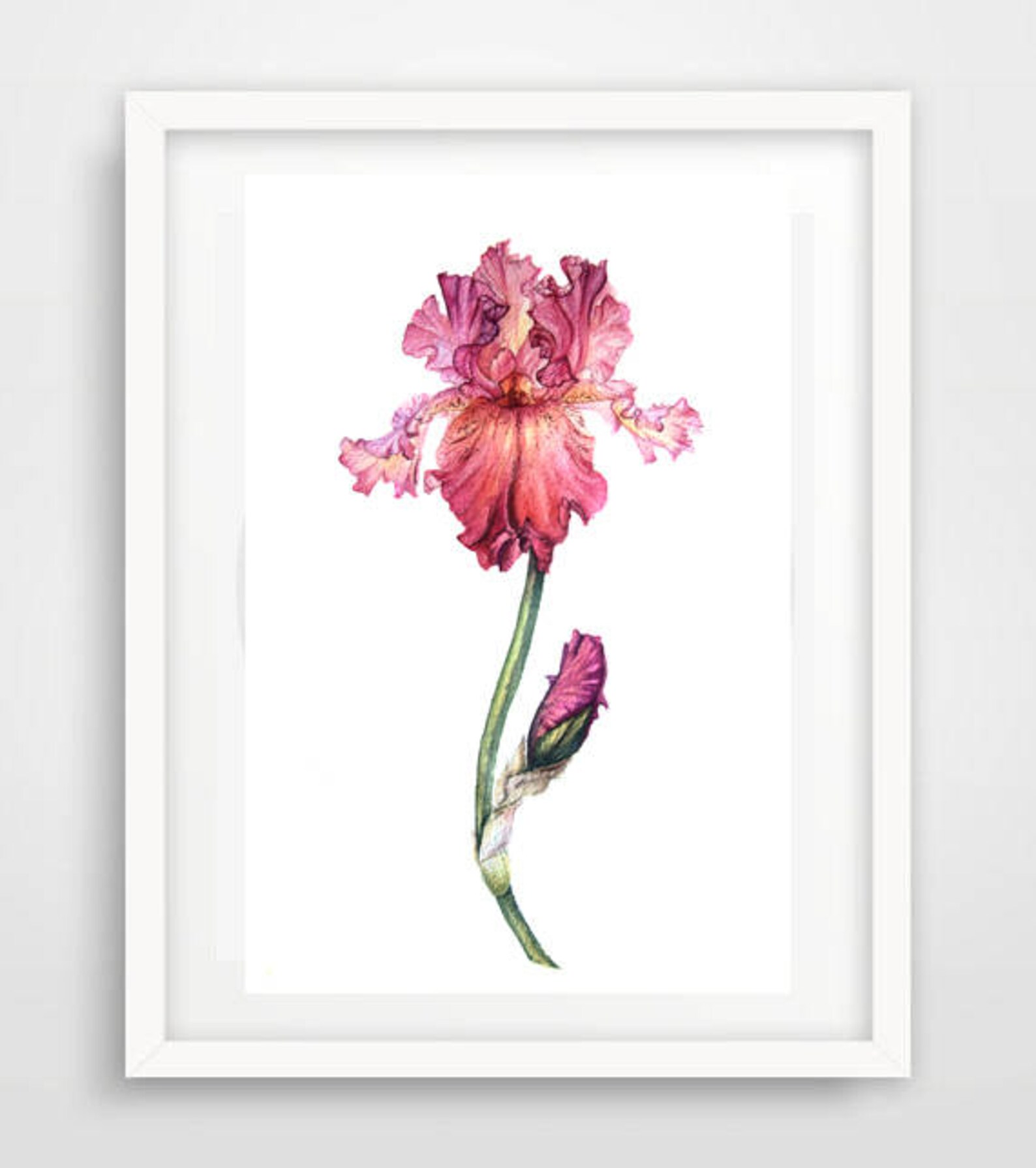 Iris Flower Print Iris Watercolor Flowers Wall Art Print - Etsy