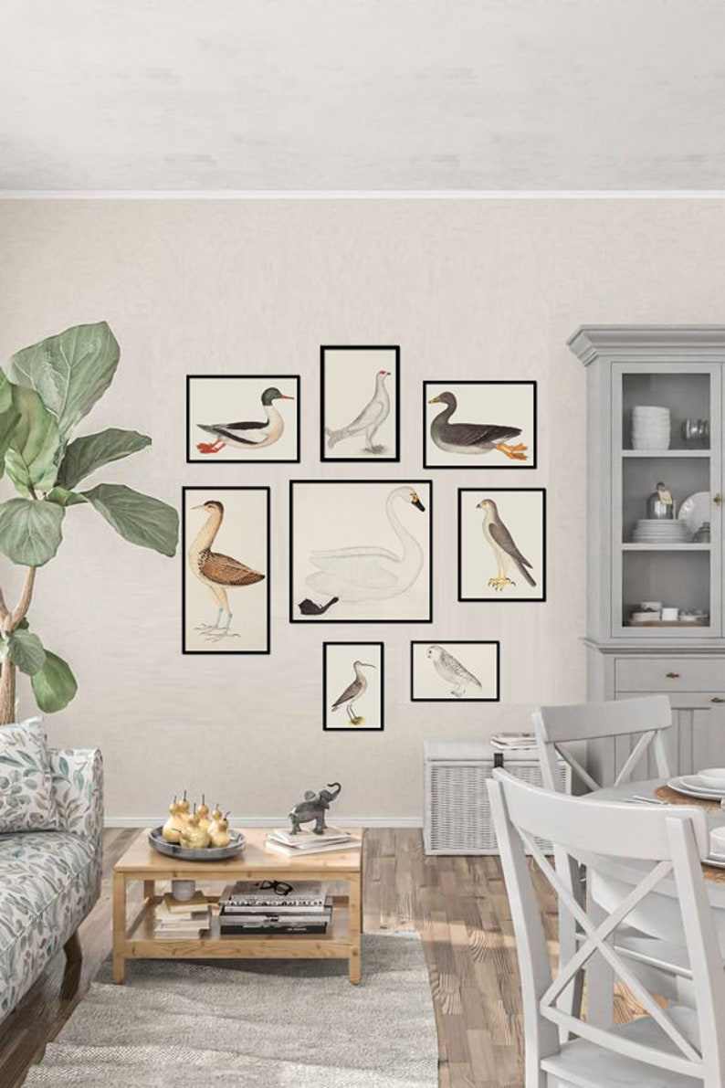 Bird Print Set, Birds Wall Art Decor, Vintage Illustration Print Set of ...