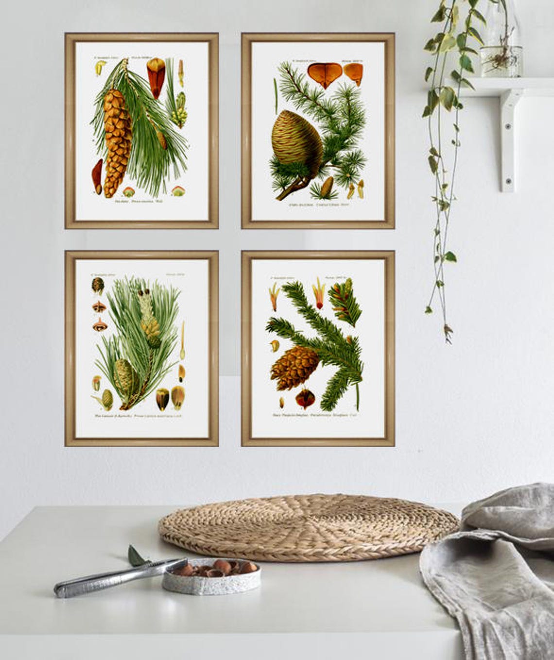 Pine Cones Print Set of 4 Pine Tree Wall Art Decor Woodland | Etsy