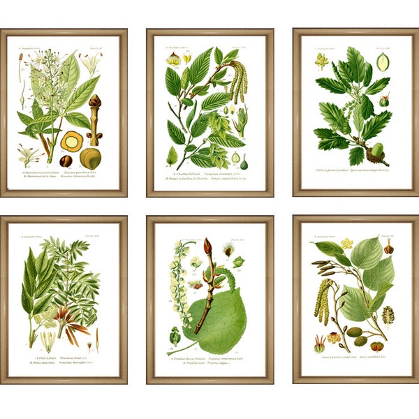 Green Leaf Prints - Etsy