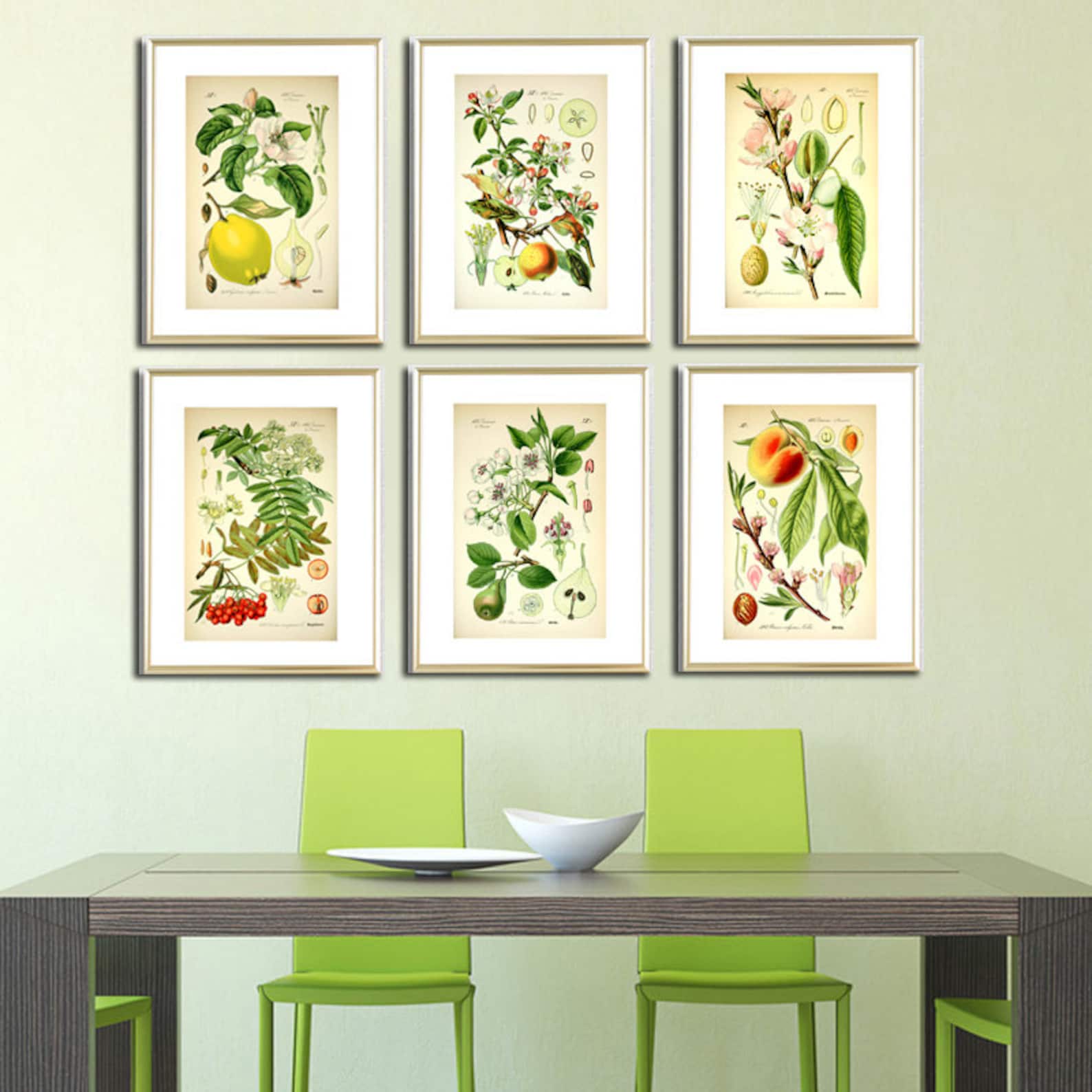 Fruit Art Print Set of 6 Botanical Fruit Home Decor Antique - Etsy