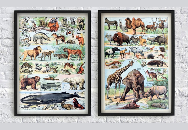 Set of 2 Animal Print Animals Poster Animals Wall Art - Etsy