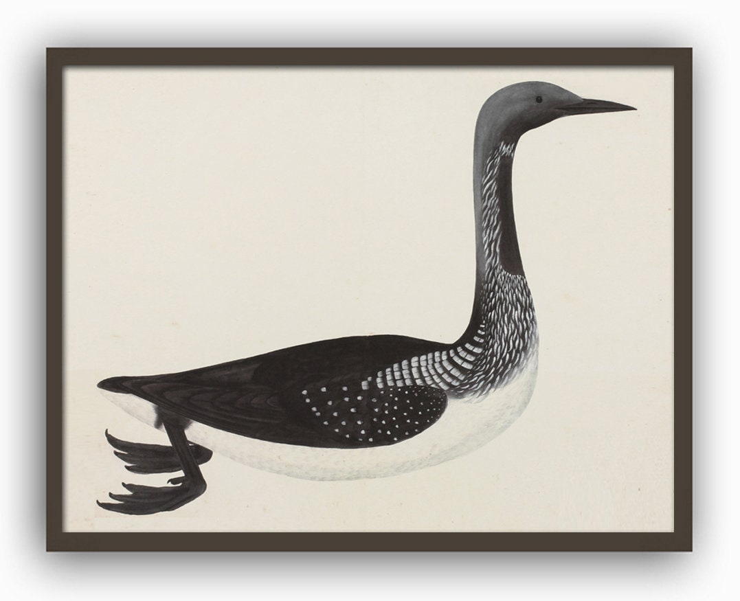 Duck Bird Print Wall Art Decor Living Room Decor Kitchen Decor - Etsy