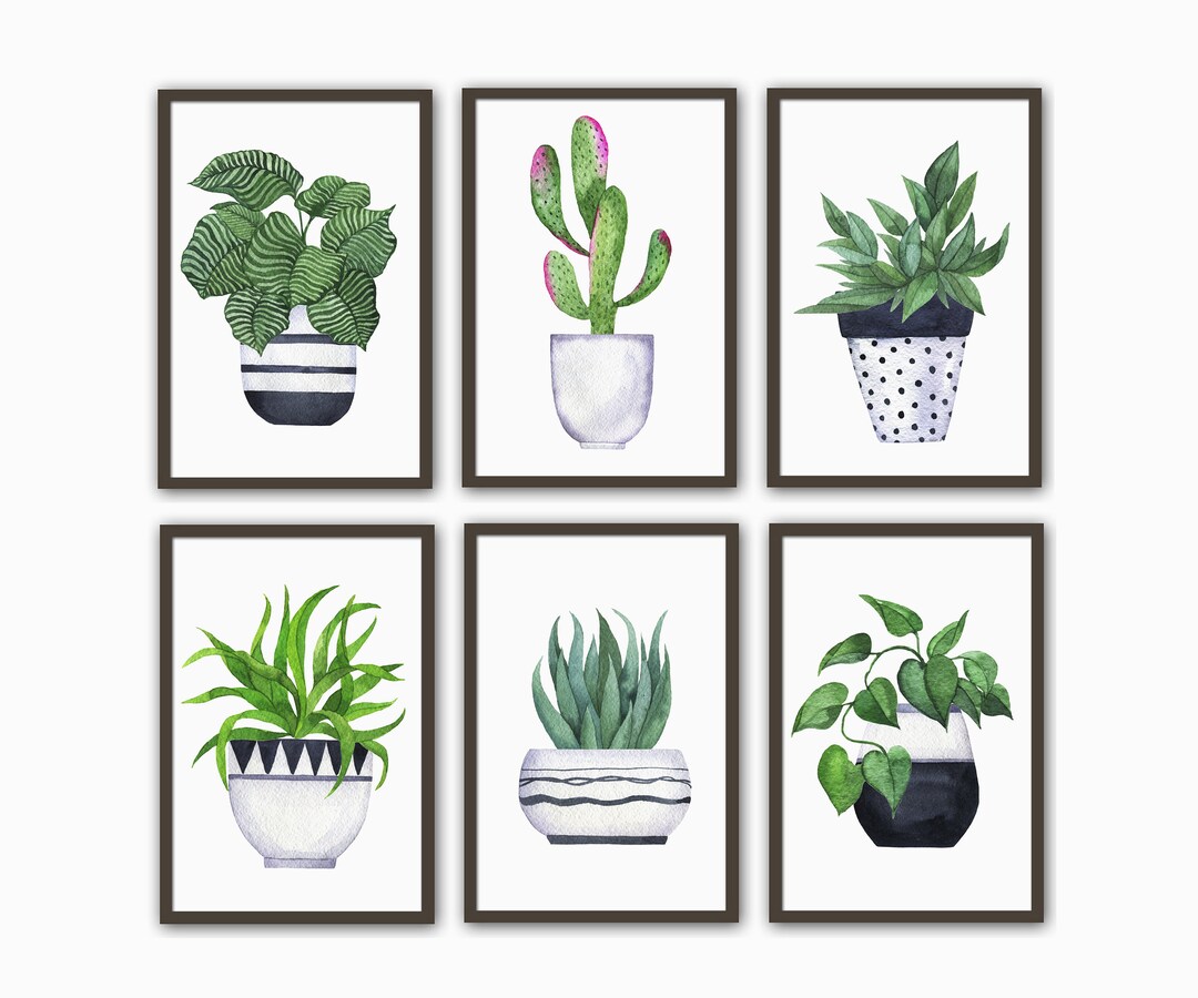 Cactus Plant Print Set of 6, Flowers Pot, Watercolour Indoor Plants ...