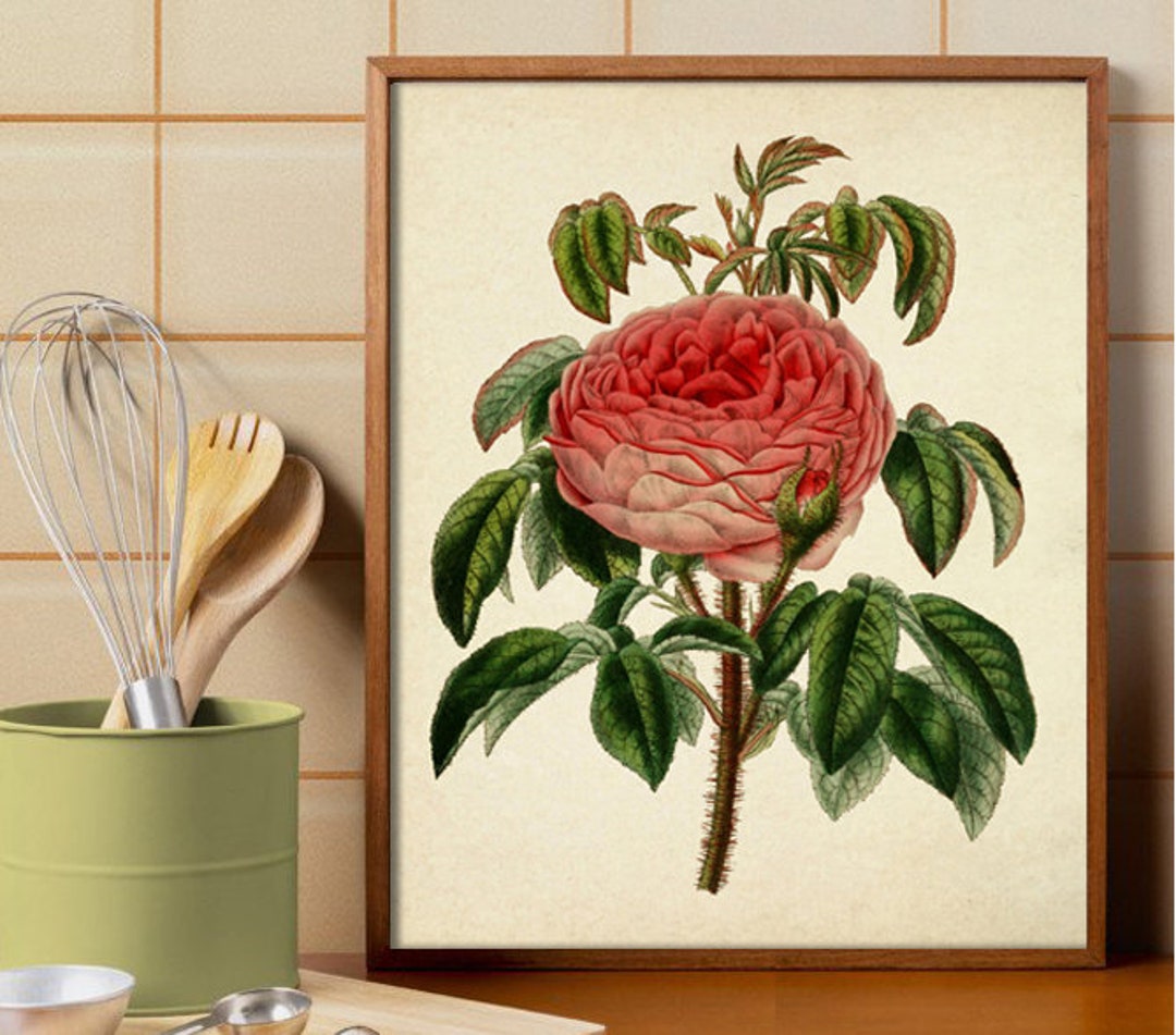 Vintage Rose Print, Botanical Print Flower Art, Flower Print, Rose ...