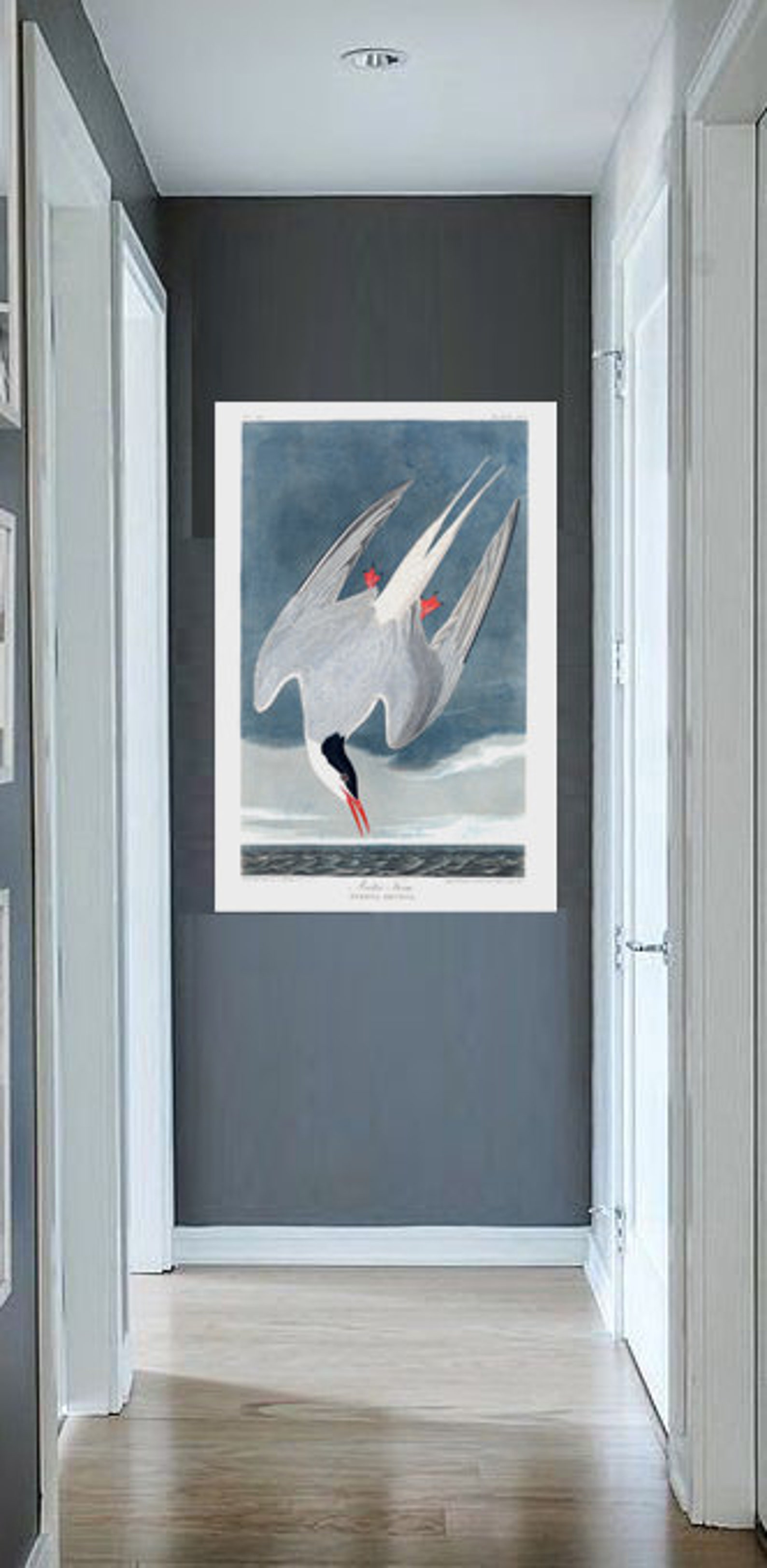 Bird Print Bird Wall Art Decor Large Bird Poster Vintage | Etsy