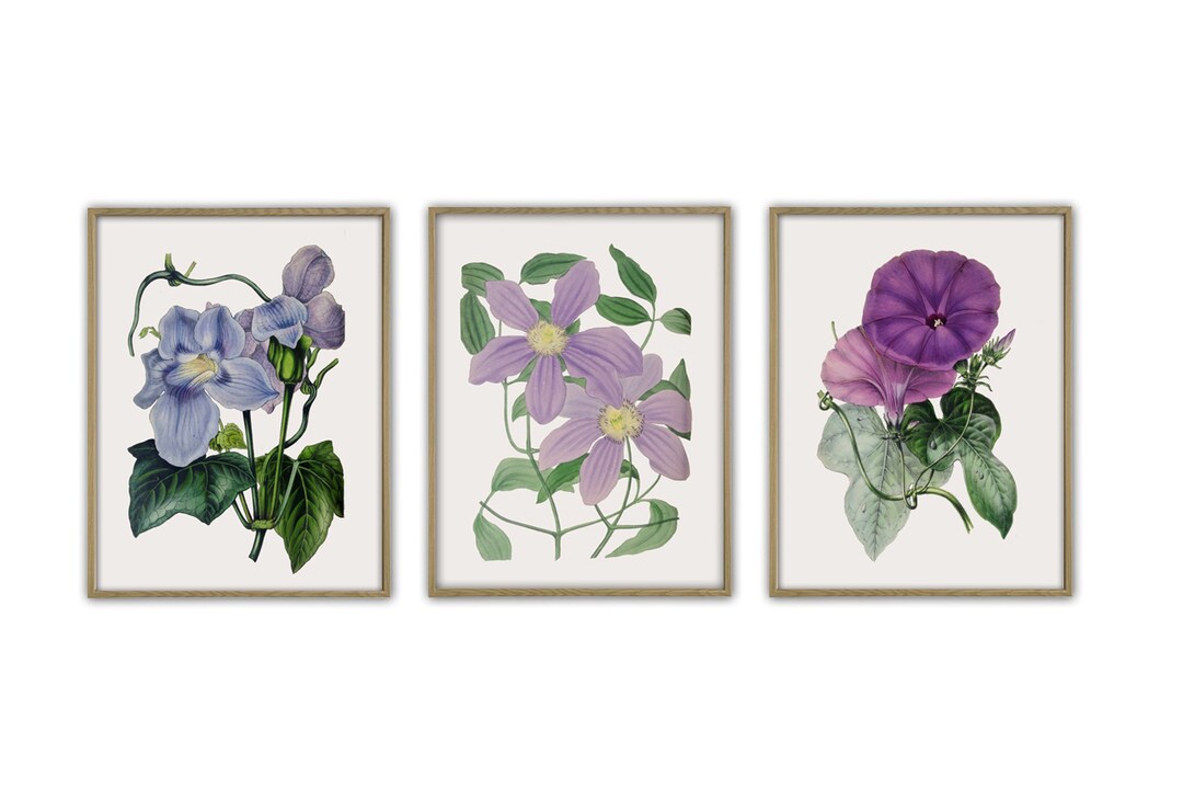Flower Print Set, Flower Wall Art, Botanical Wall Art Decor, Flowers ...