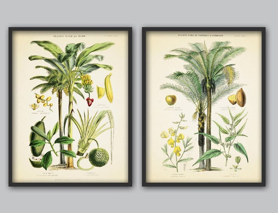 Art & Collectibles Digital Prints Prints Date Palm Tree Decor Tree ...