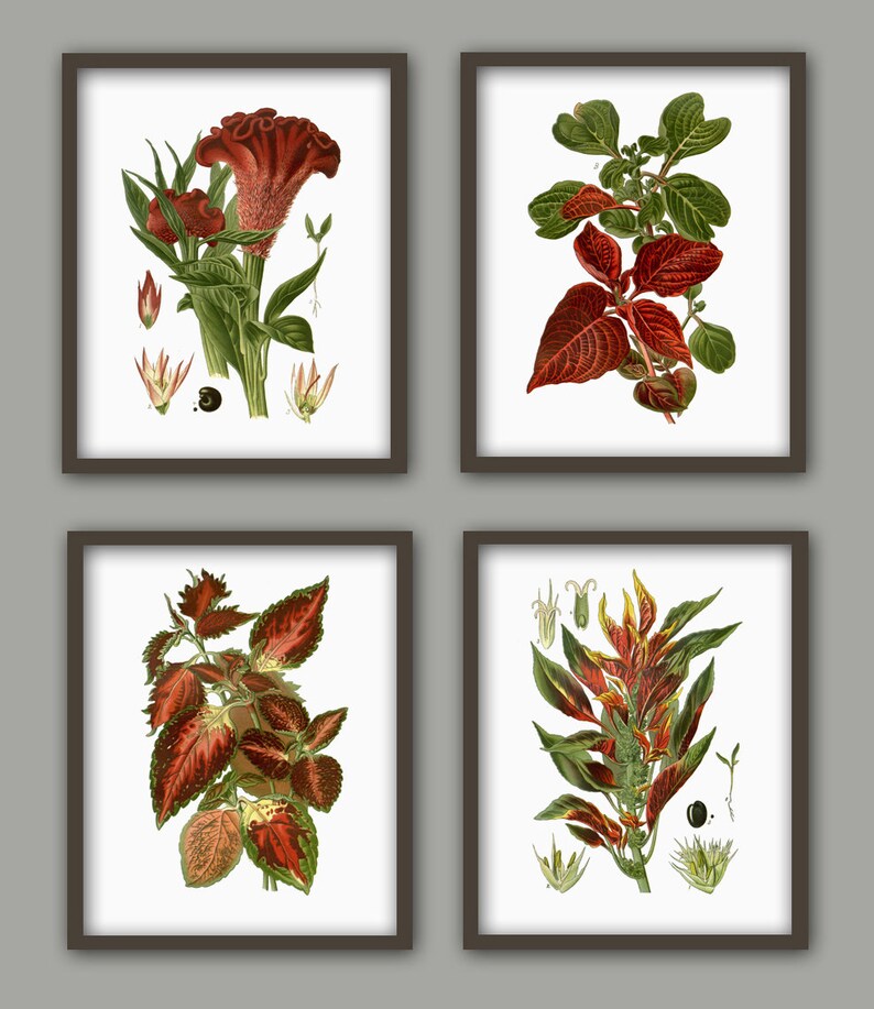 Red Flower Print Set of 4 Large Wall Art Print Vintage | Etsy
