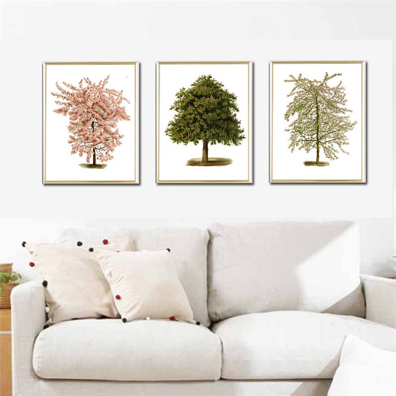 Tree Prints Set of 3 Botanical Home Decor Tree Botanical | Etsy