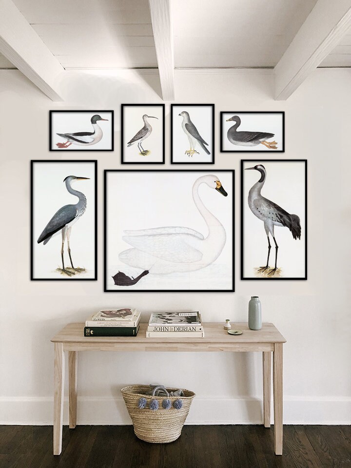Wild Bird Wall Art Bird Print Bird Illustration Swan Heron Duck Print ...