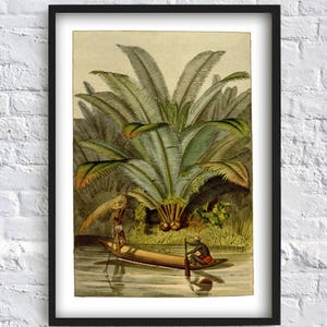 Palm Print - Botanical Home Decor - African Plant Wall Art - Palm Leaf ...