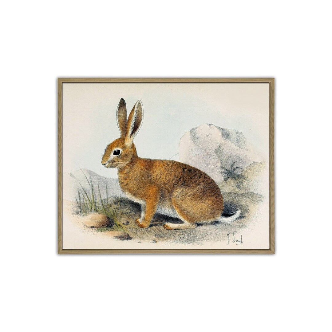 Hare Rabbit Print Animal Print Poster Easter Painting Print, Home Wall ...