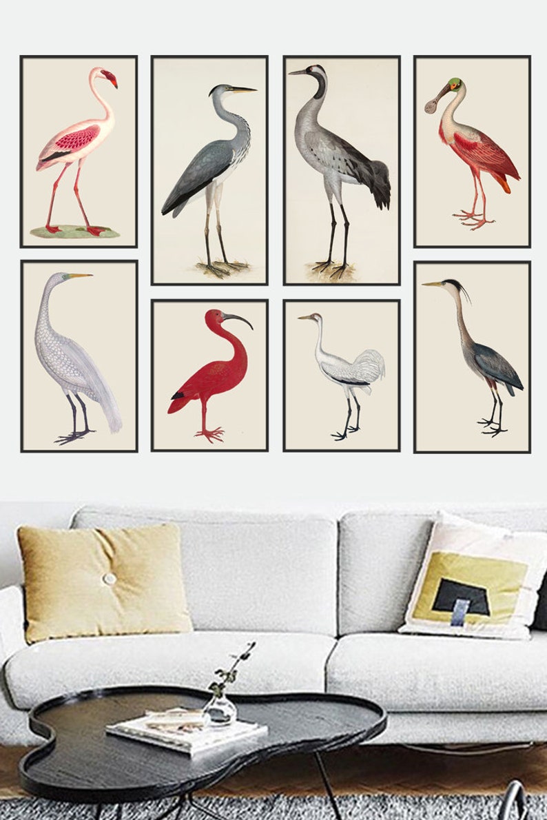 Ibis Birds Print Set of 8 Large Wall Art Decor Home Gallery | Etsy