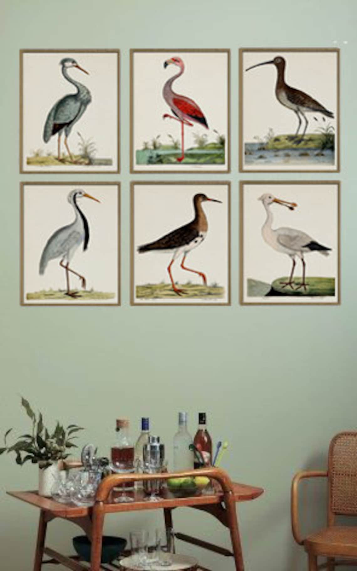 Birds Print Set, Bird Wall Decor, Antique Bird Illustration ...