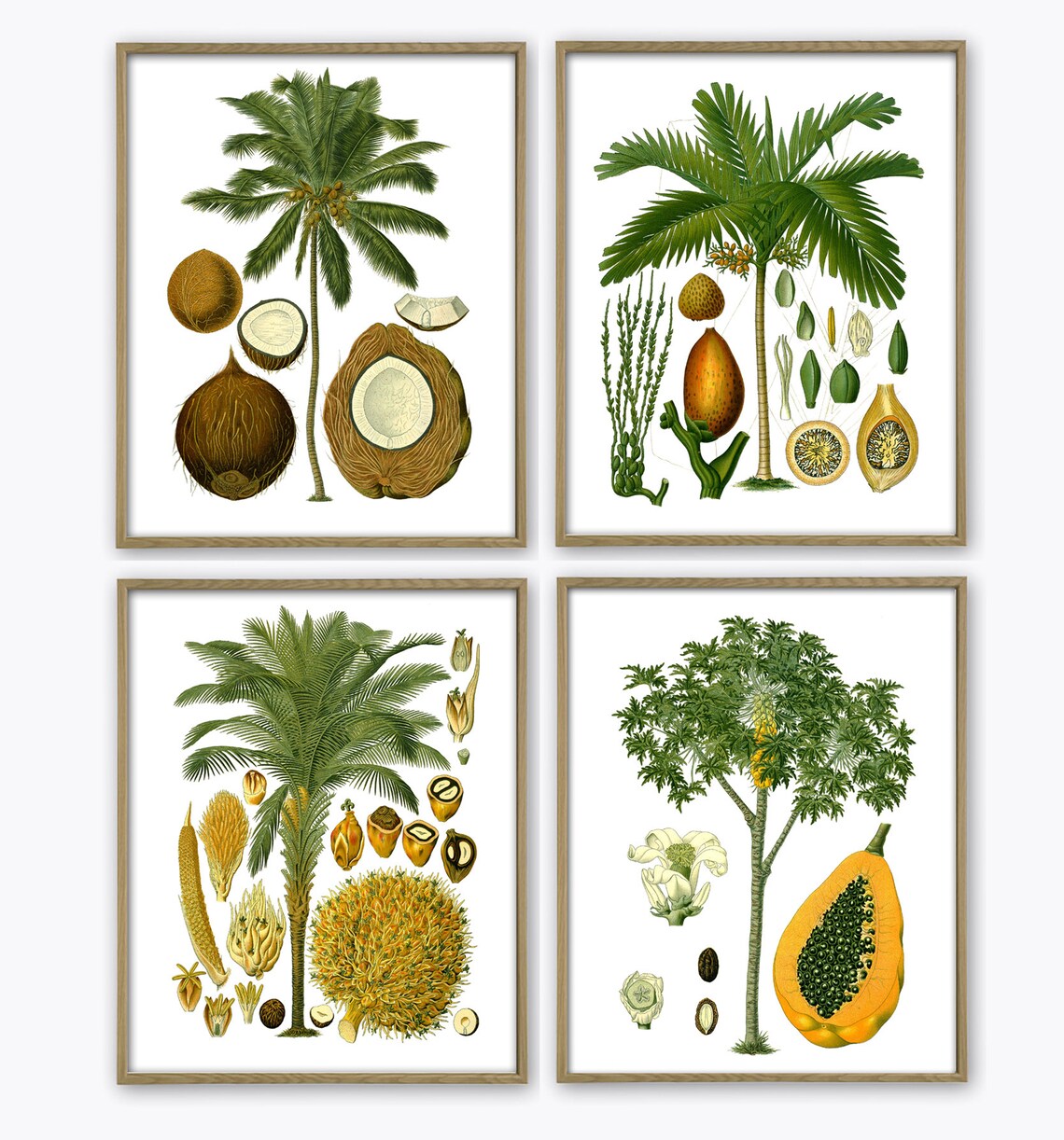 Palm Tree Print Set of 4 Large Wall Art Decor Vintage - Etsy