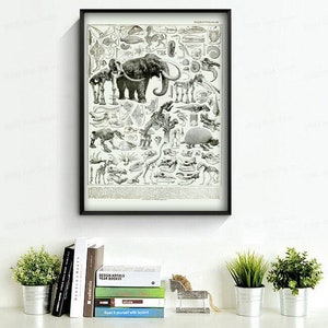 Prehistoric Animals Poster, Fossil Mammoth Dinosaur Skeleton Print ...