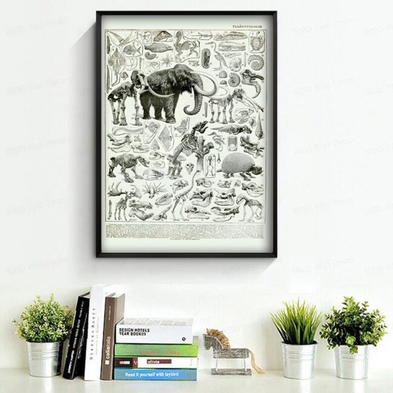 Prehistoric Animals Poster Fossil Mammoth Dinosaur Skeleton - Etsy