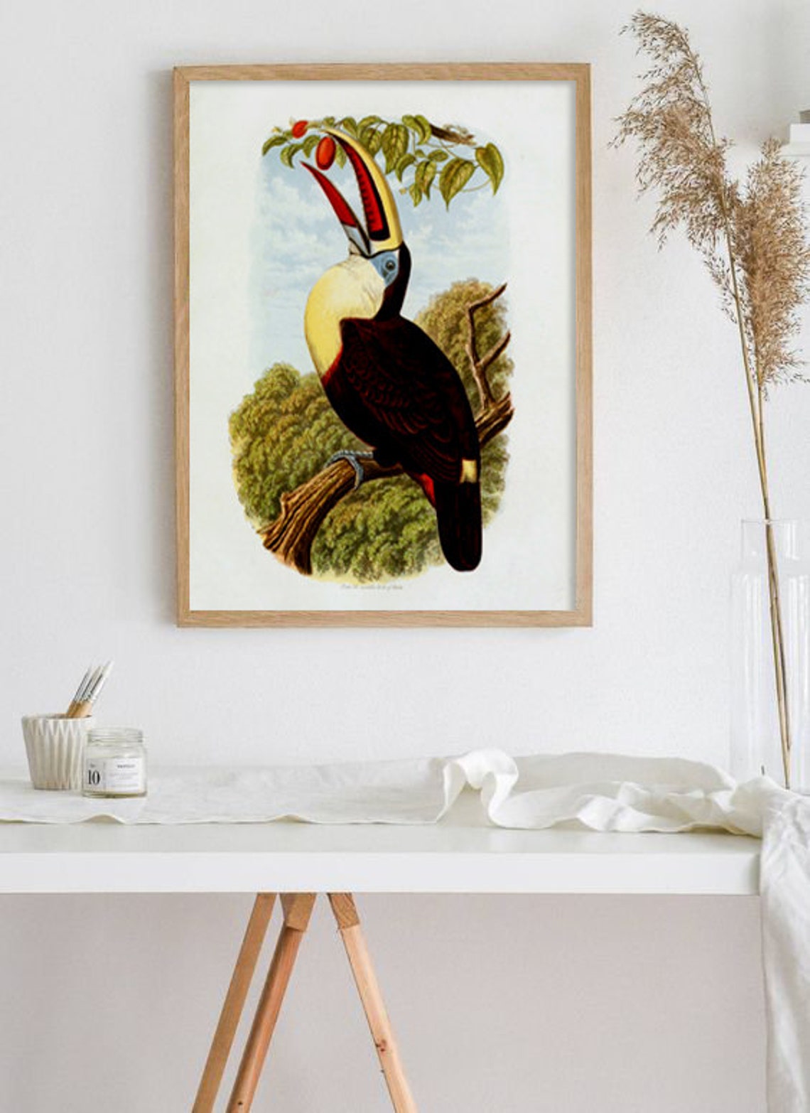 Toucan Bird Print Bird Poster Bird Wall Art Decor Tropical - Etsy
