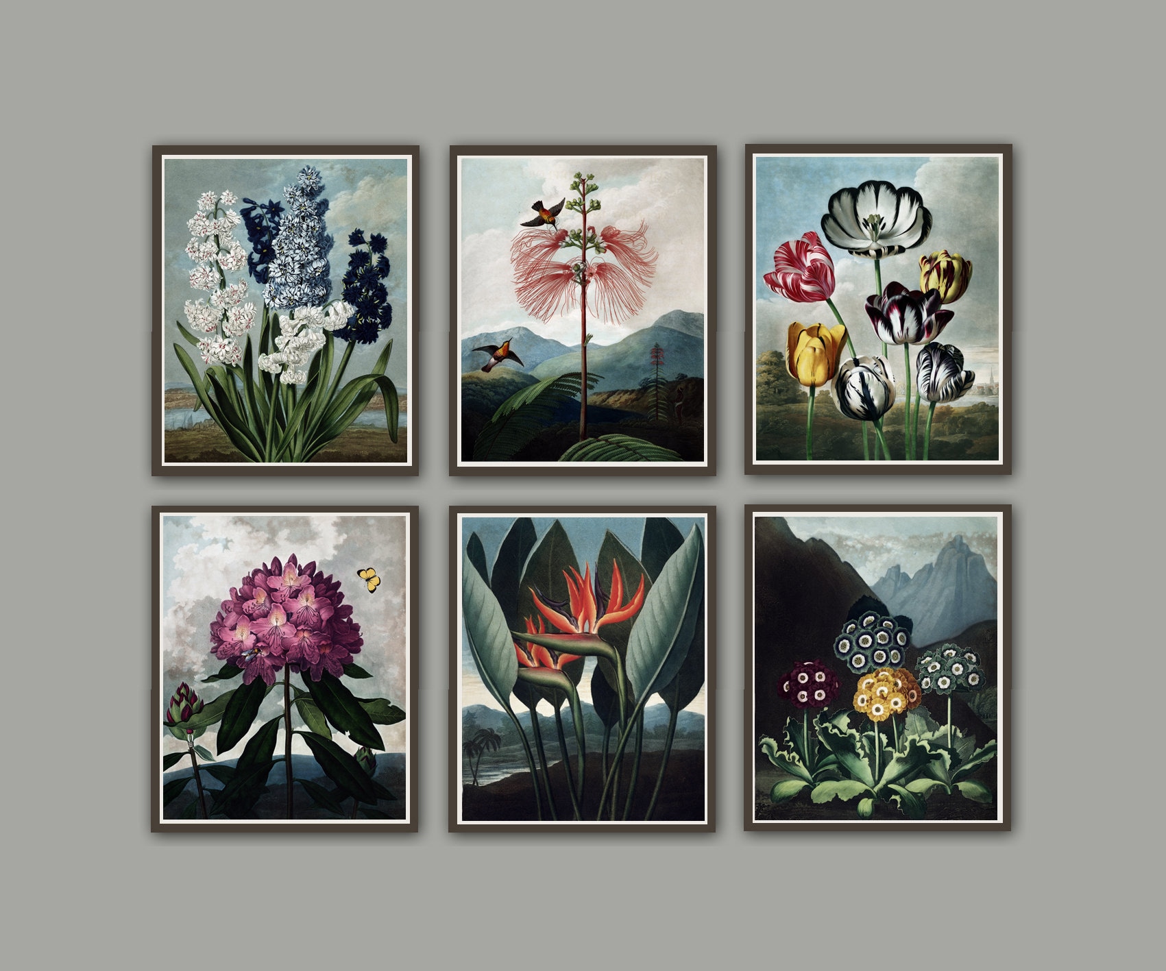 Flower Print Set of 6 Botanical Decor Large Wall Art Print | Etsy