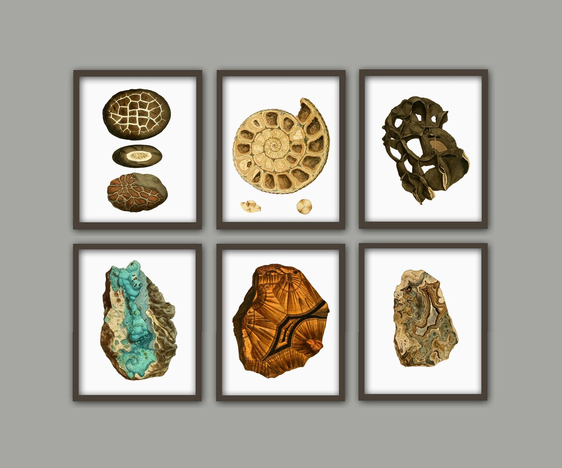 Stones and Minerals Print Set of 6, Stones Mineral Art Decor, Geology ...