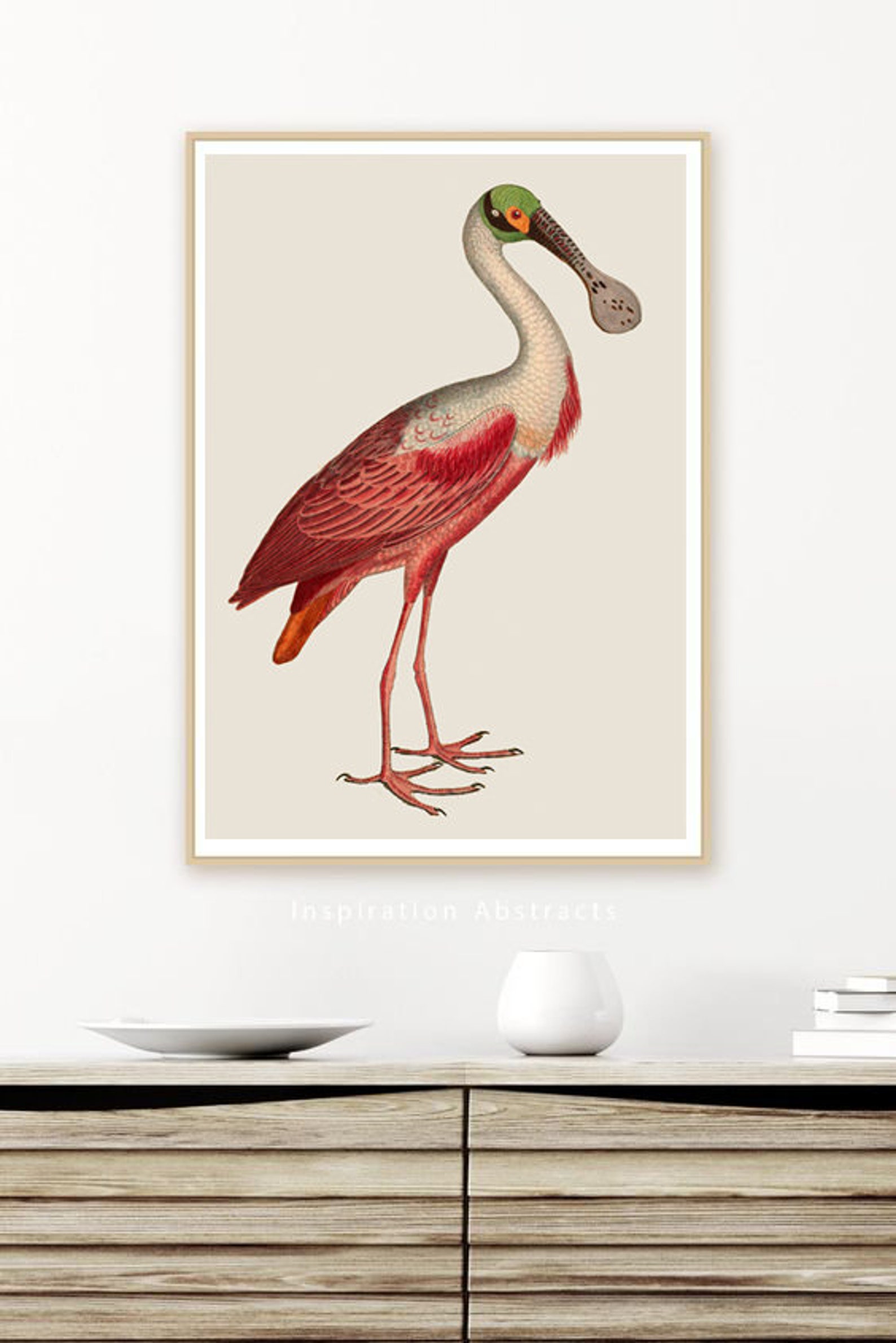 Spoonbill Bird Print, Bird Wall Decor, Ornithology Poster, Antique ...