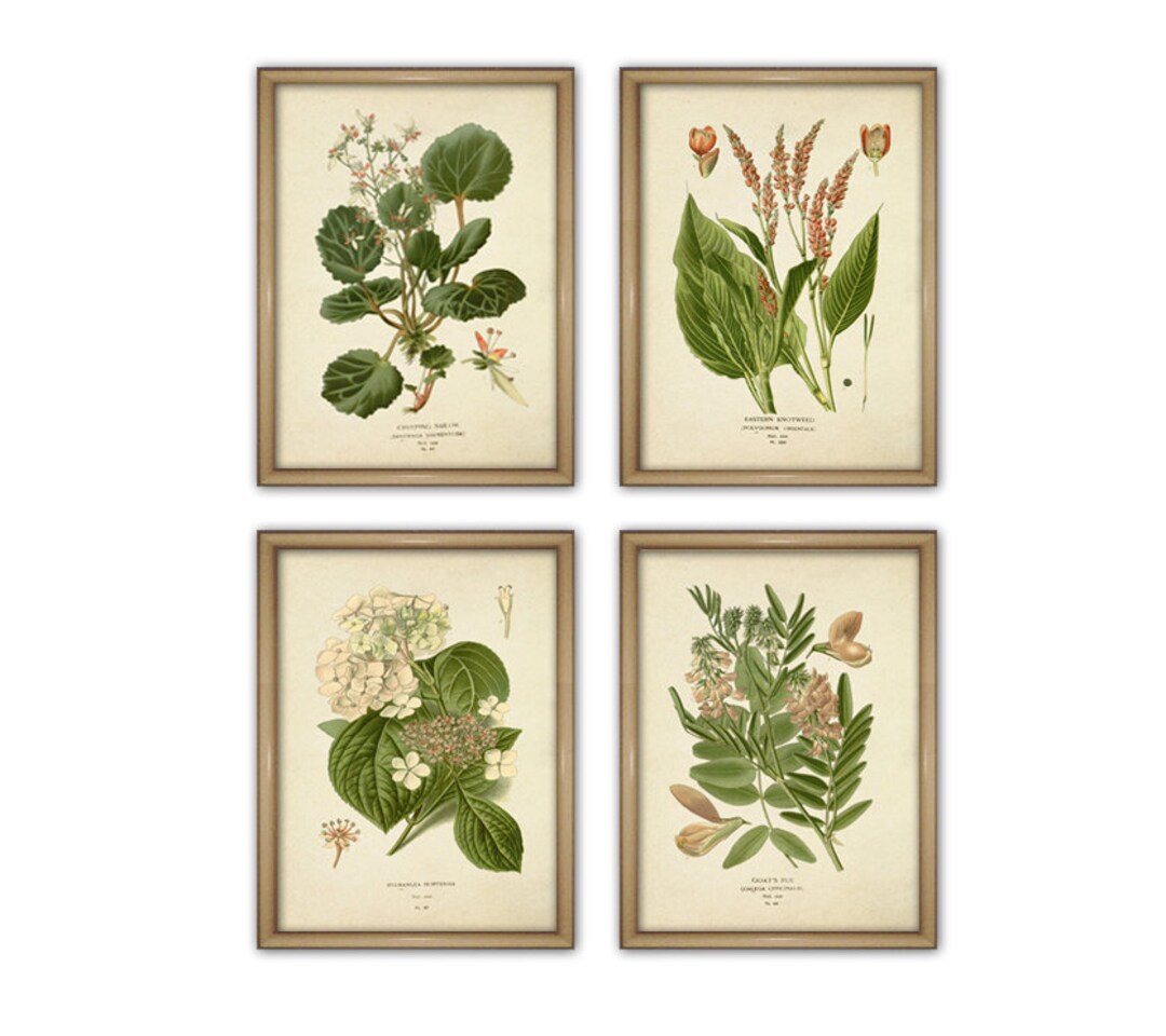 Set of 4 Plant Decoration Posters and Prints Wall Art Painting Wall ...