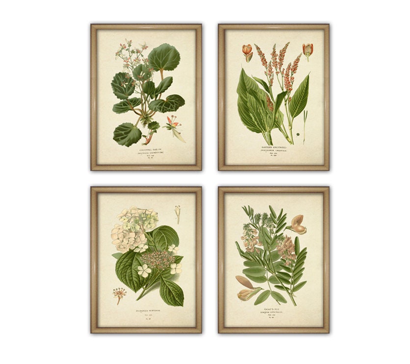 Set of 4 Plant Decoration Posters And Prints Wall Art Painting | Etsy