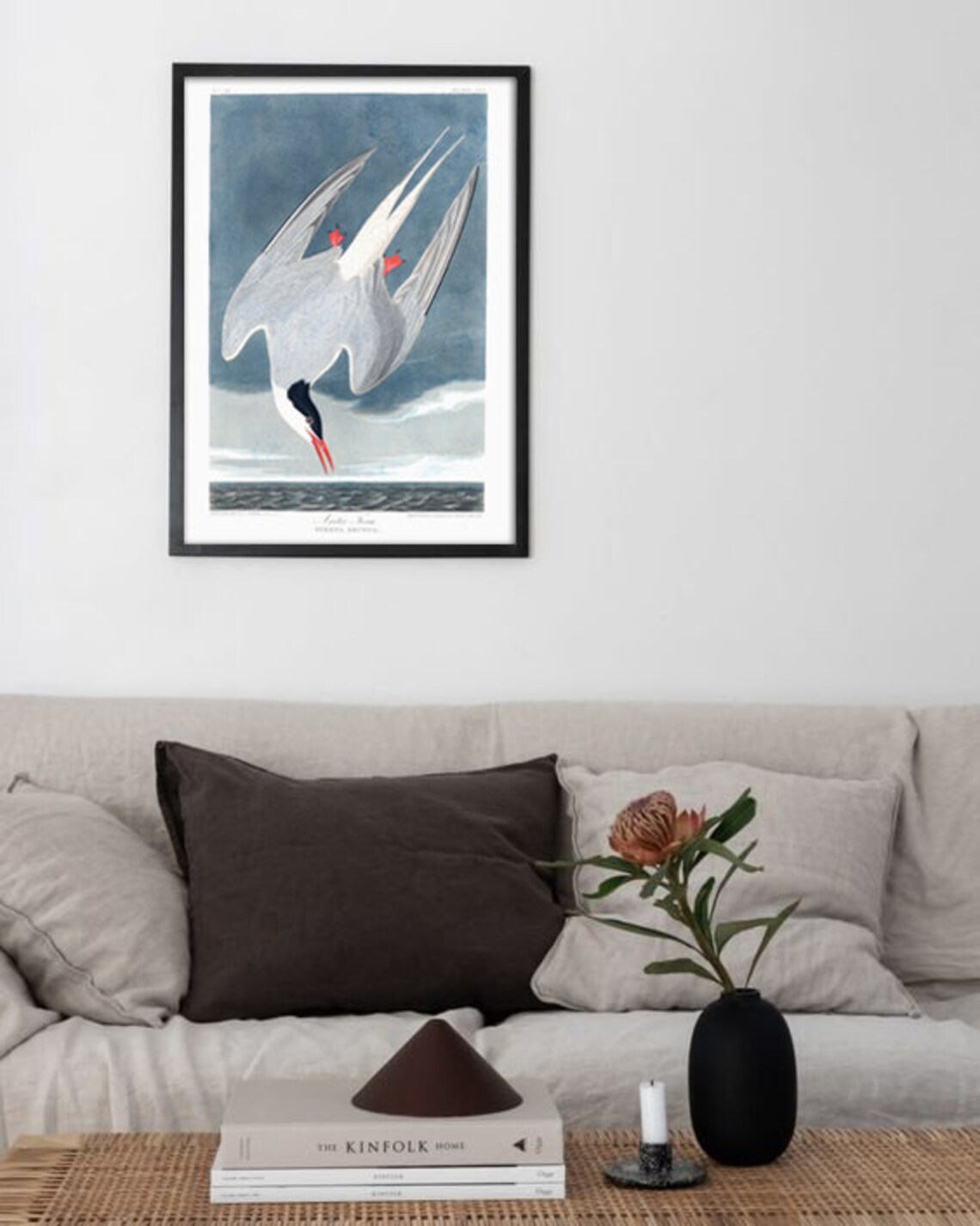 Bird Print Bird Wall Art Decor Large Bird Poster Vintage | Etsy