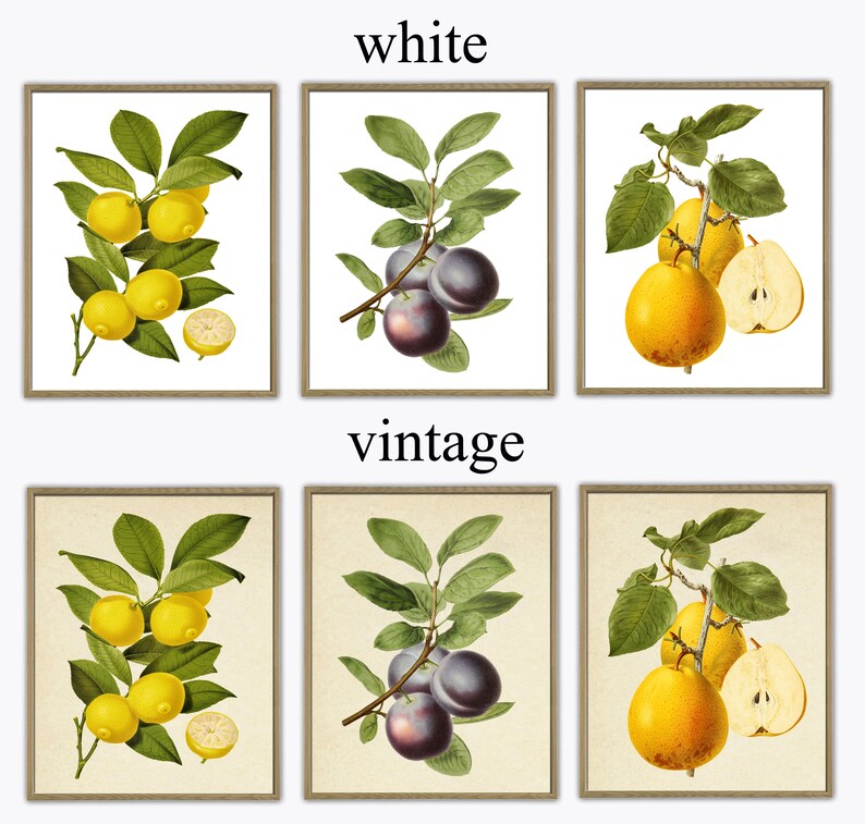 Fruit Print Botanical Wall Art Print Kitchen Wall Decor - Etsy