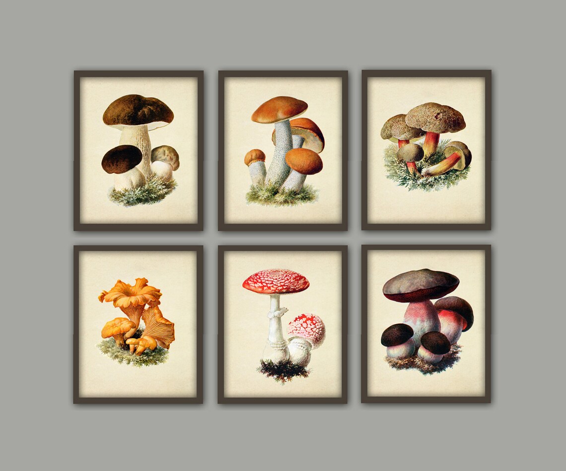 Mushroom Print Set of 6 Mushroom Kitchen Decor Mushroom | Etsy