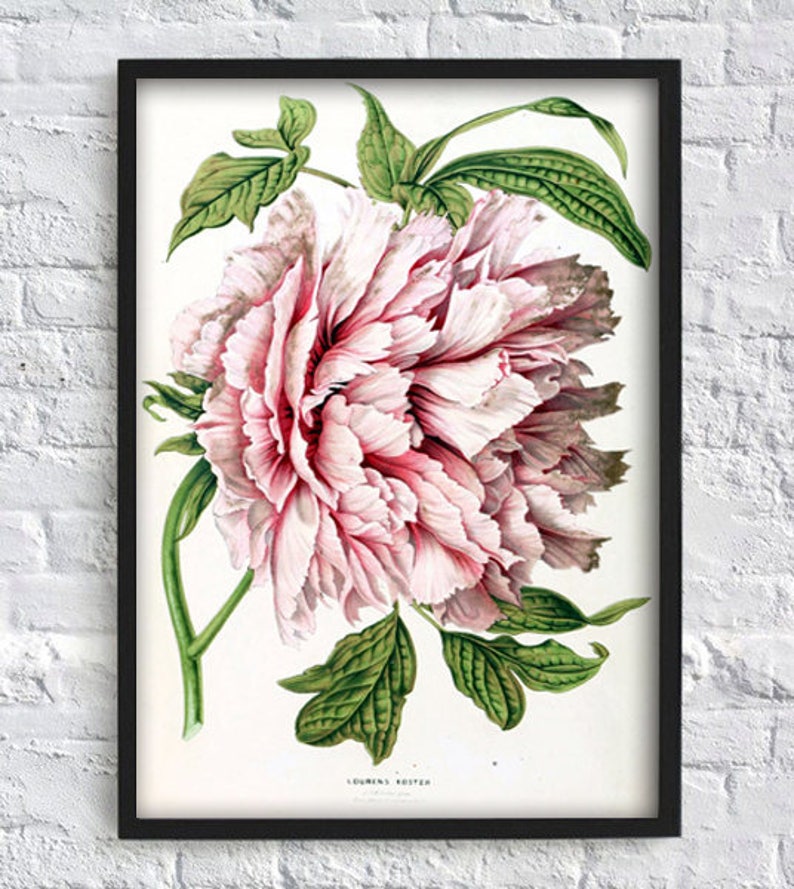 Pink Flower Printable Floral Print Flowers Wall Art Decor - Etsy