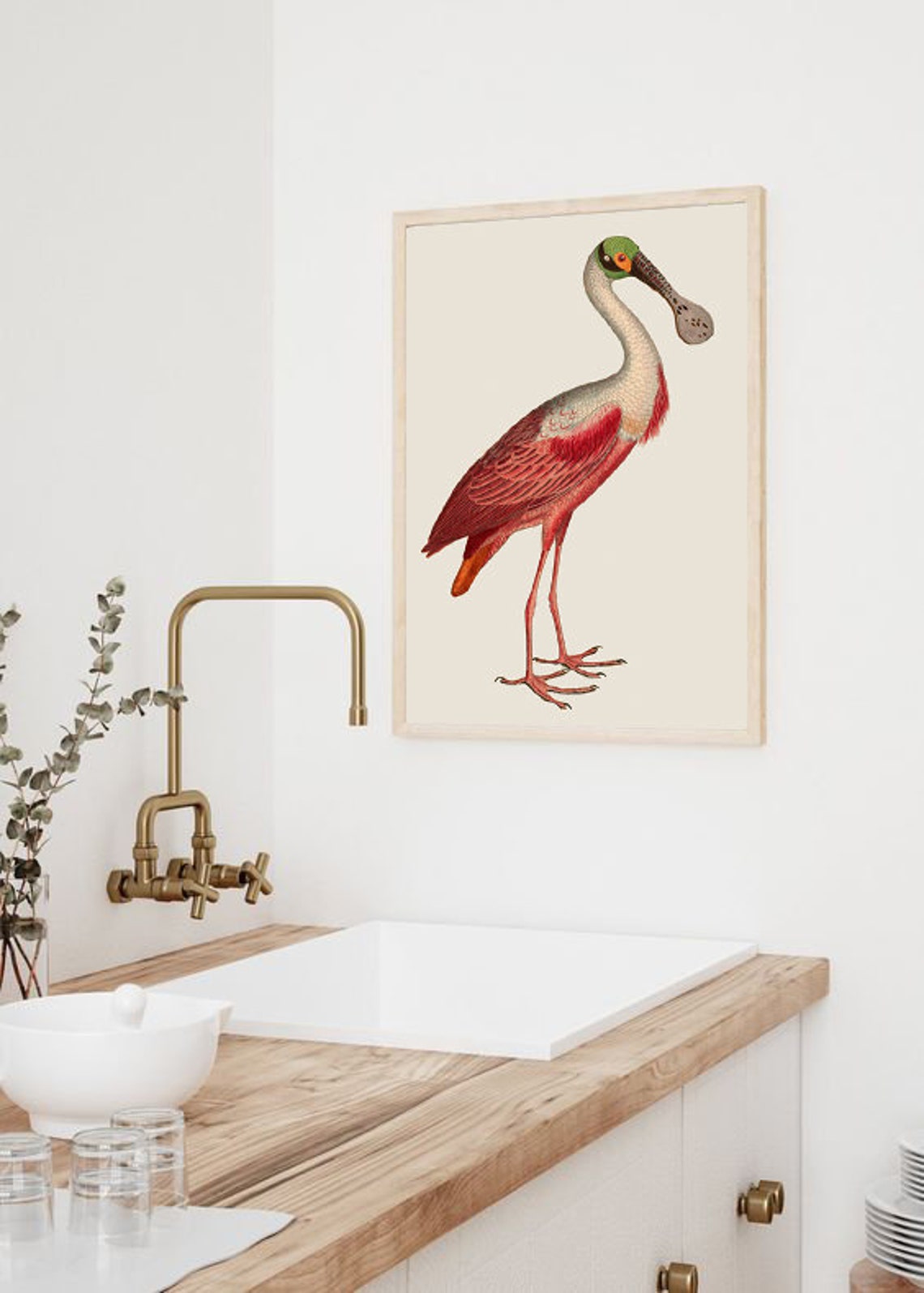 Spoonbill Bird Print, Bird Wall Decor, Ornithology Poster, Antique ...