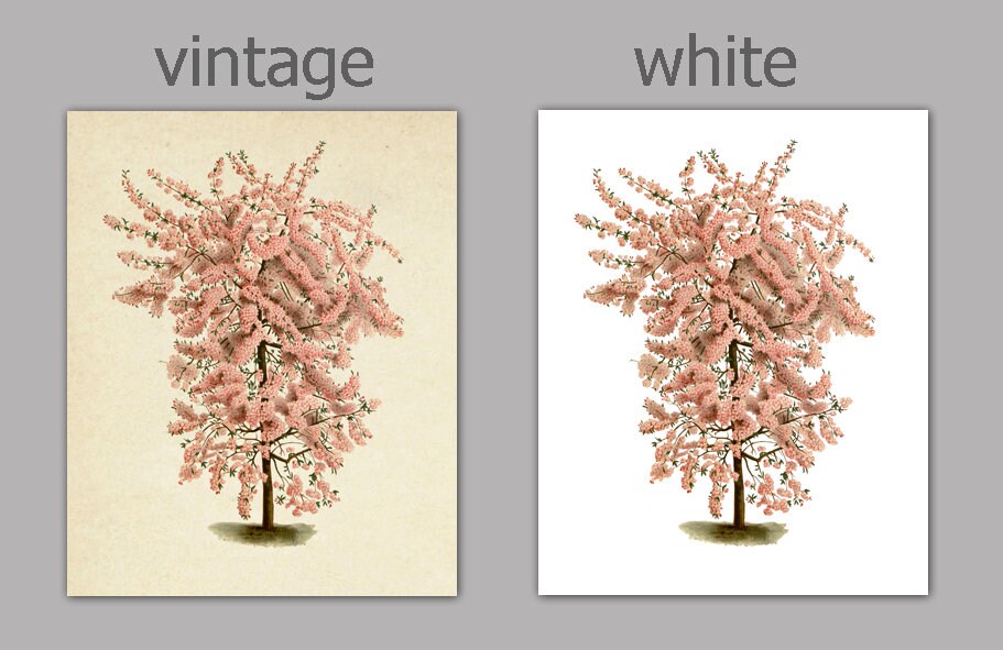 Tree Prints Set of 3 Botanical Home Decor Tree Botanical | Etsy