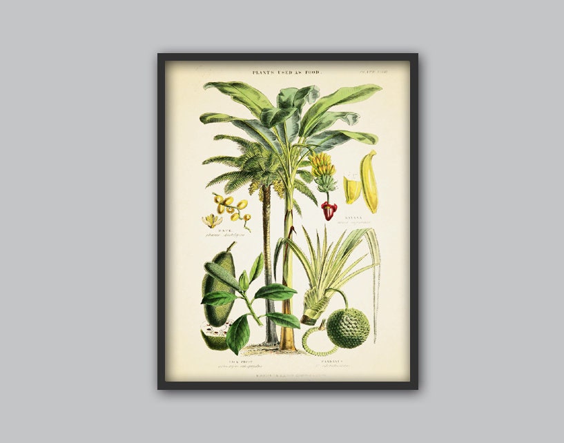 Palm Tree Print Palm Leaf Palm Tree Wall Art Decor | Etsy Canada