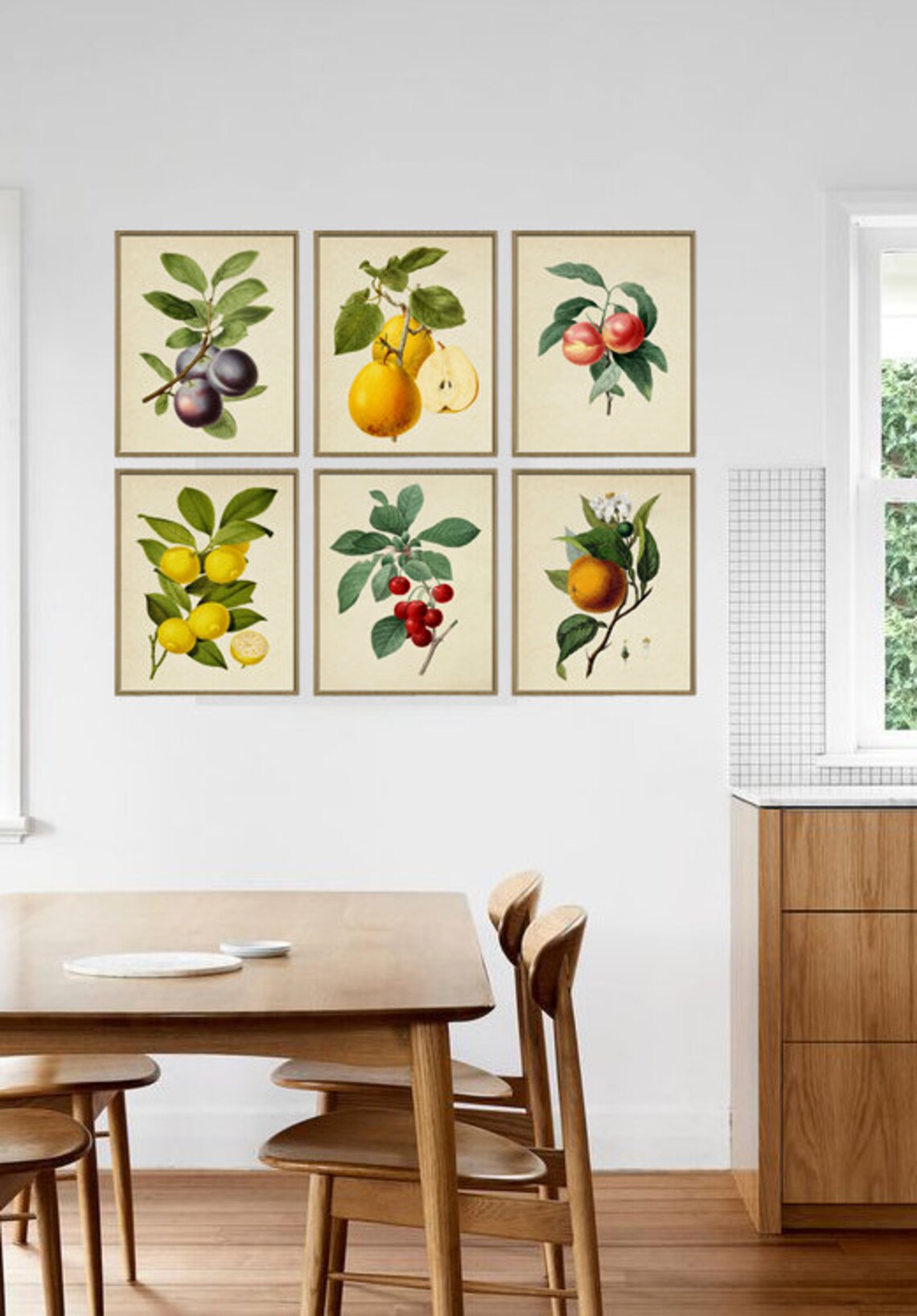 Fruit Print Set Botanical Prints Vintage Art Botanical Plum - Etsy