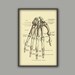 Hand Bone Print Human Anatomy Skeleton Vintage Illustration Print ...
